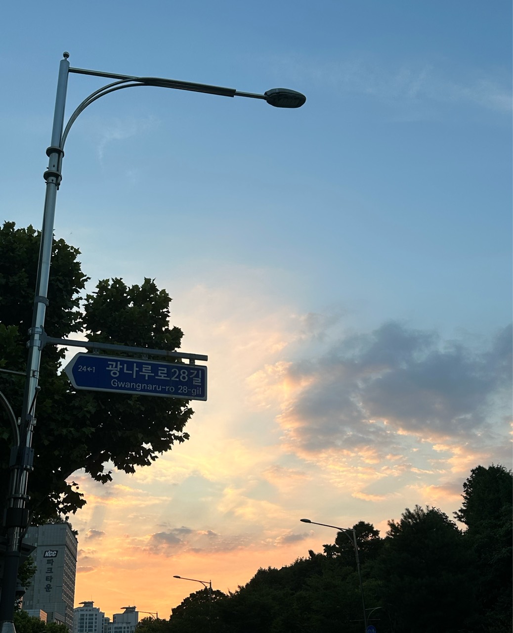 스푼 Dj 동그리 ⋆ ̎⋆님의 채널