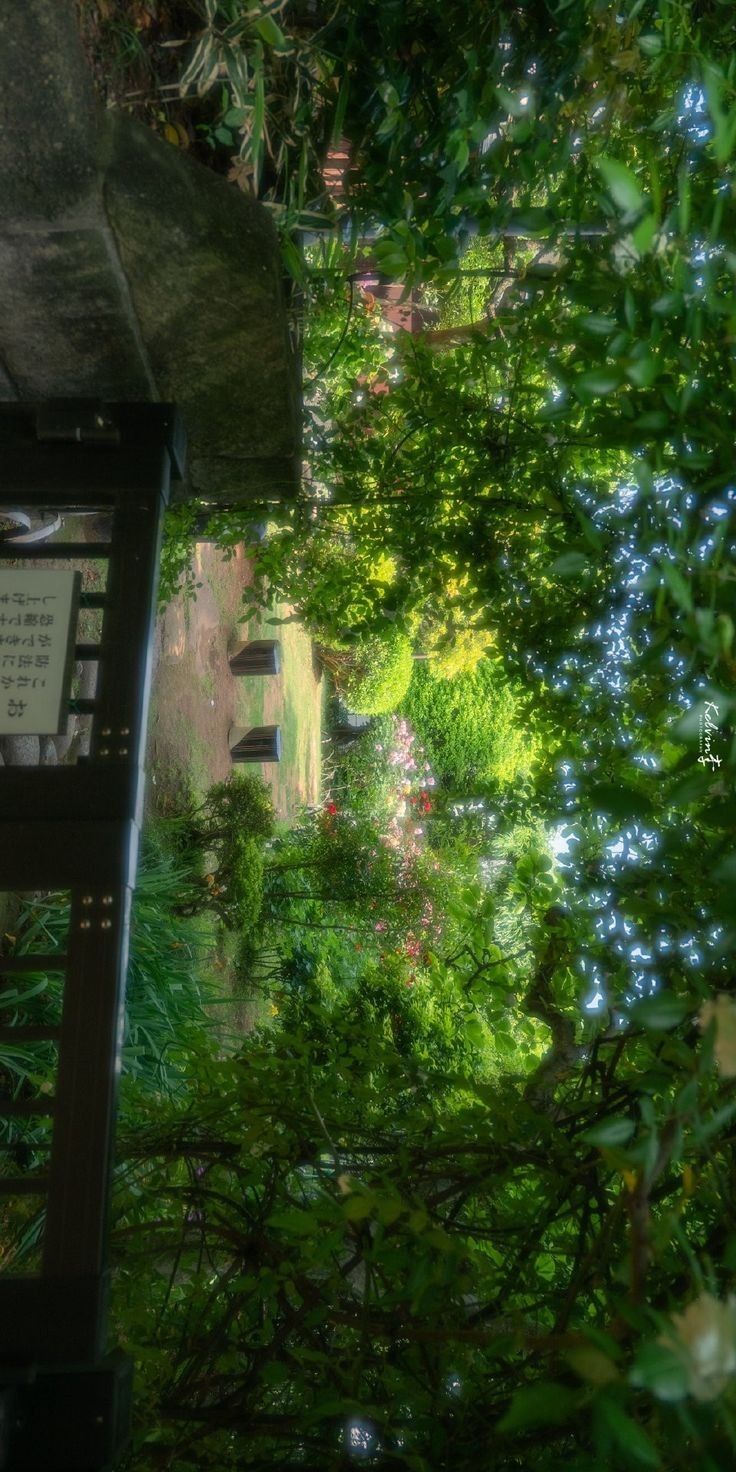 스푼 라이브 | DJ ⌱𝐃𝐚𝐩𝐡𝐧𝐞님의 오디오 라이브 방송