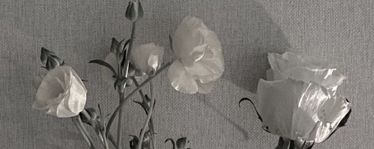 스푼 | DJ lllllllll님의 채널