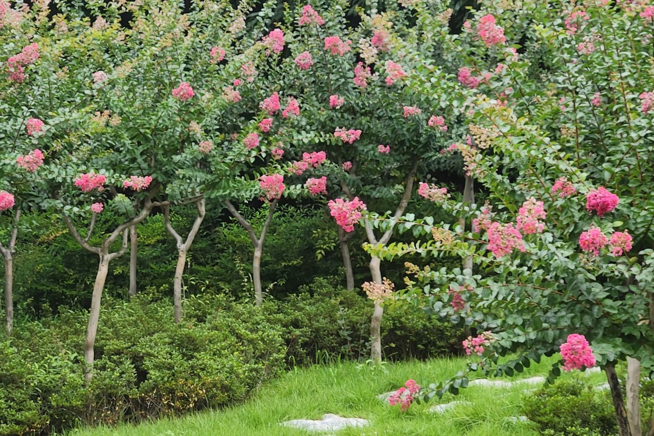 스푼 | DJ always🌴💚님의 채널