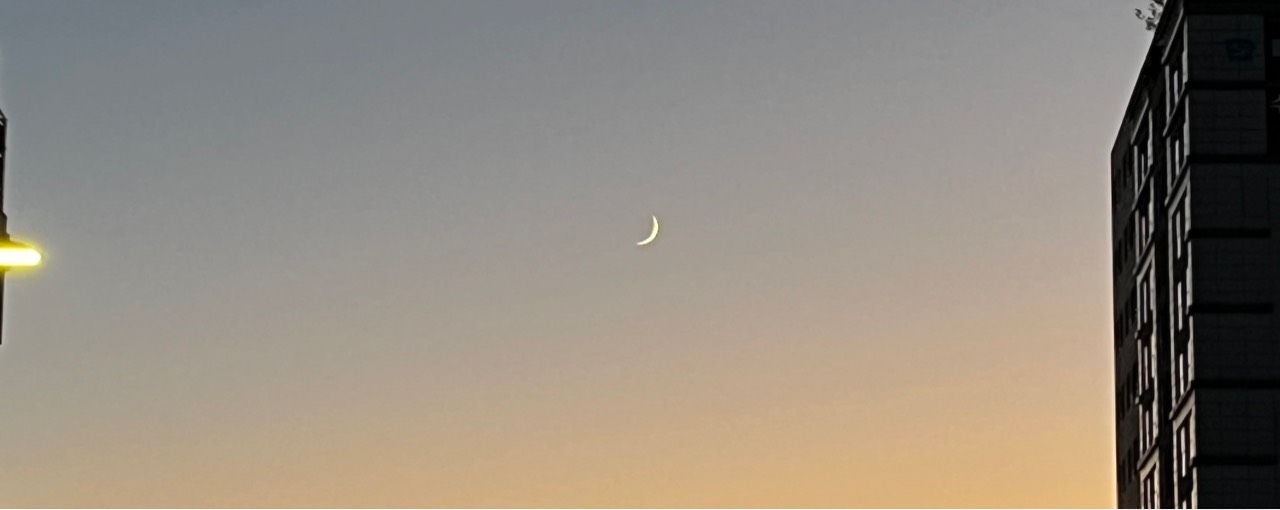 스푼 | DJ 𝗥𝗼𝗻𝗱𝗼 𝗟 :🍅님의 채널