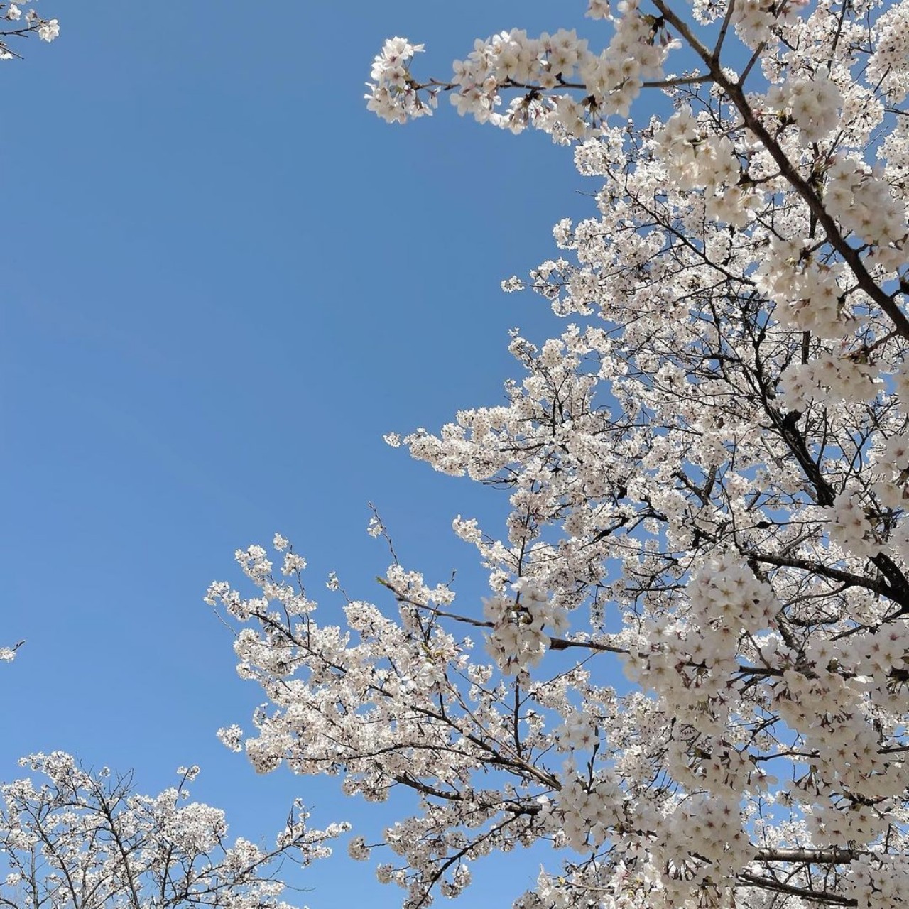 스푼 | DJ undefined님의 채널