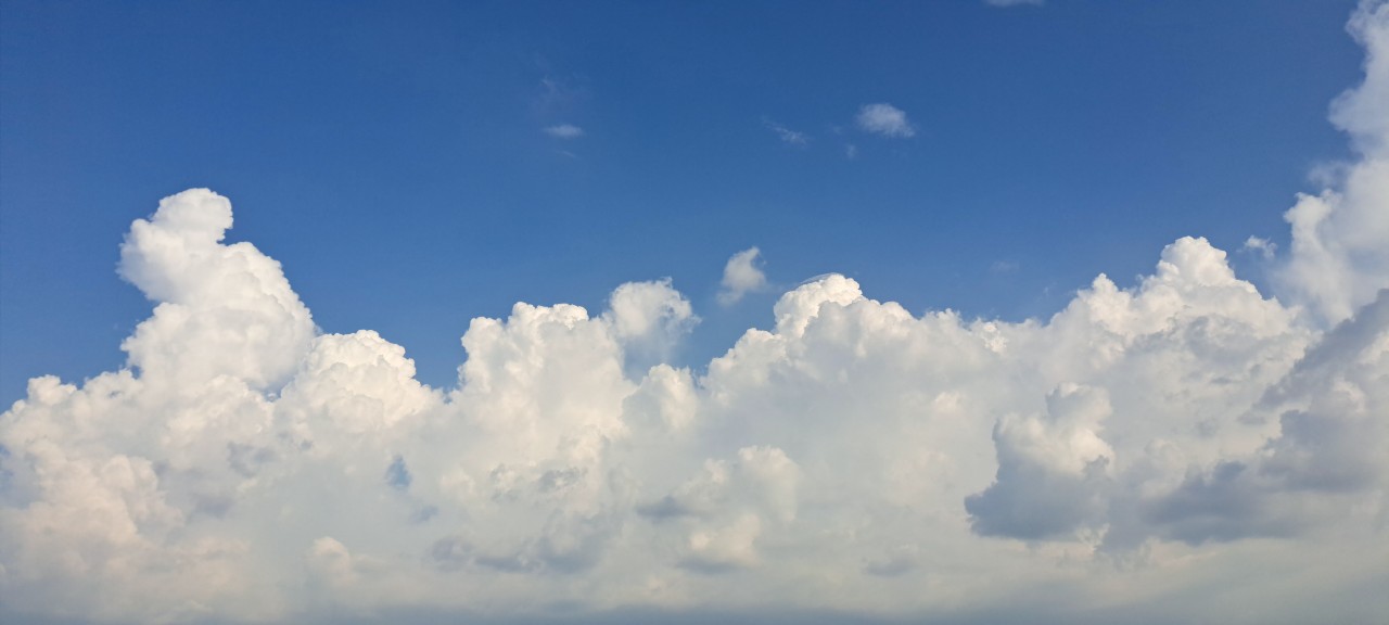 스푼 | DJ 🌱새 봄 ⁺˚♡님의 채널