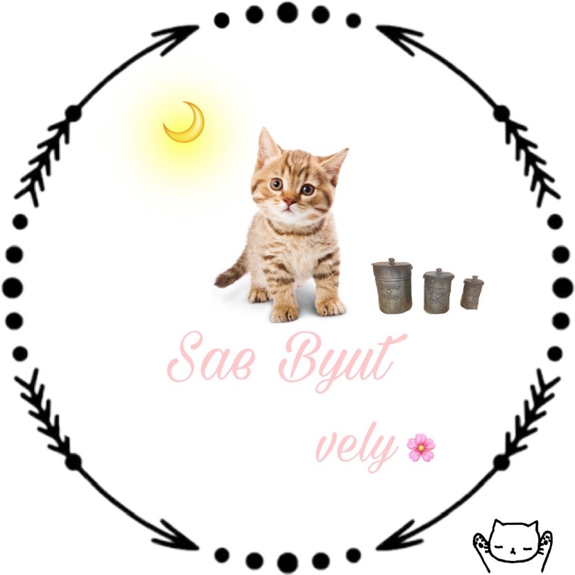 스푼 | DJ 🌸vely_새볕🌸님의 채널