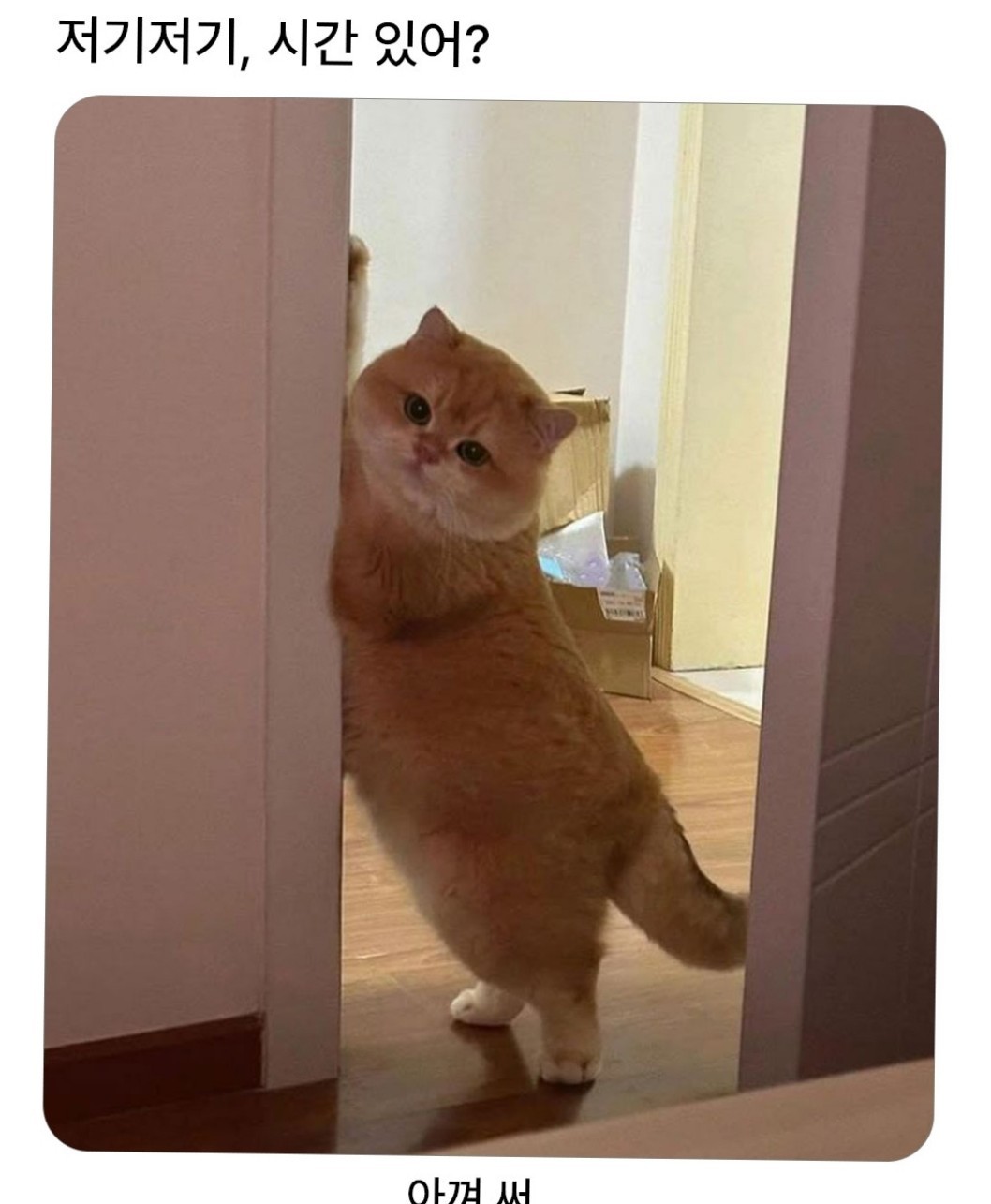 스푼 | DJ *ˊᵕˋ Luda님의 채널