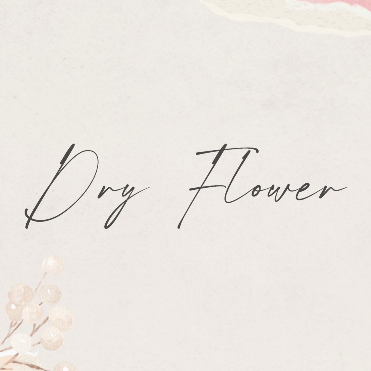 스푼 | DJ Dry flower જ님의 채널