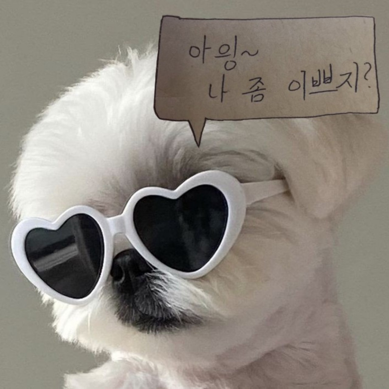 스푼 | DJ hee •᷅‎ࡇ•᷄님의 채널