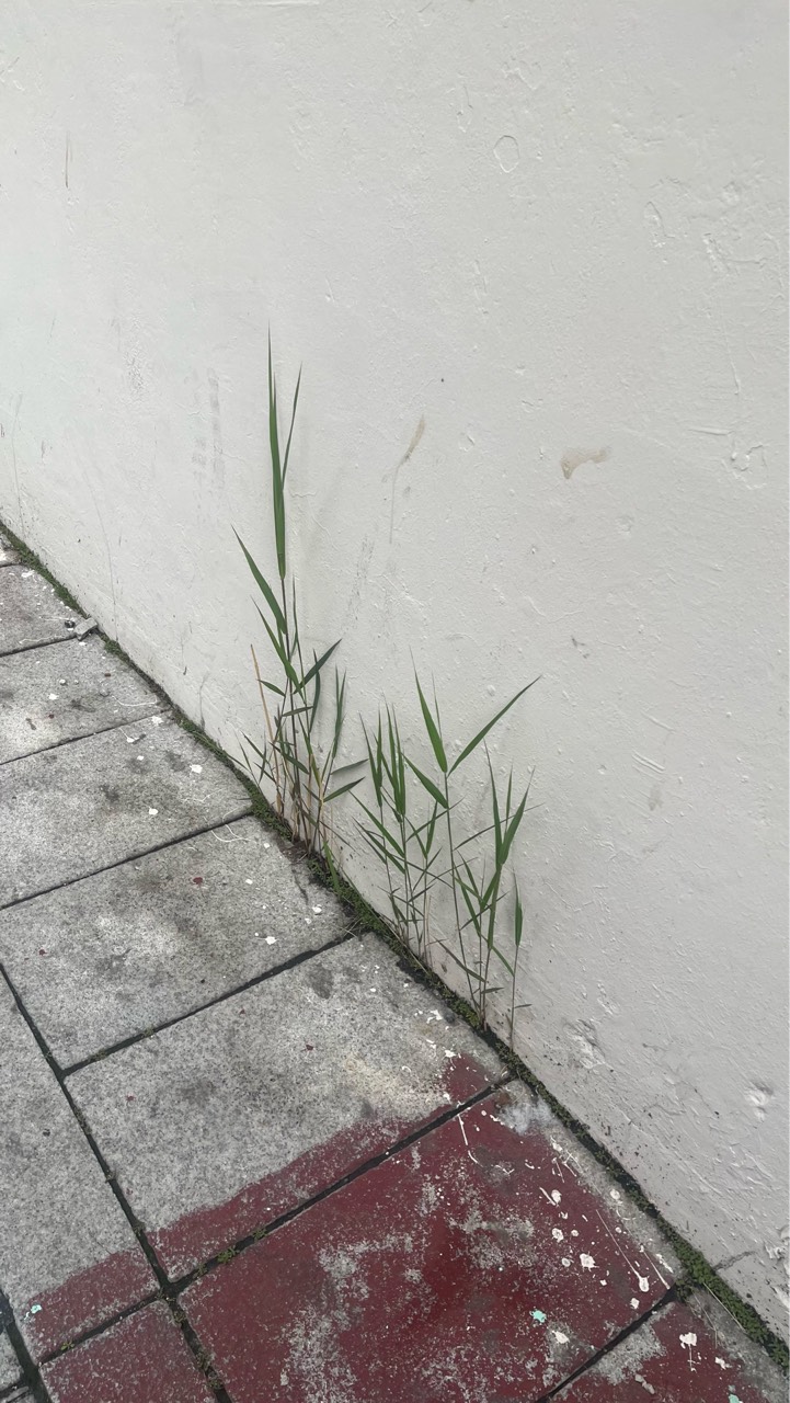 스푼 | DJ Hyggg님의 채널