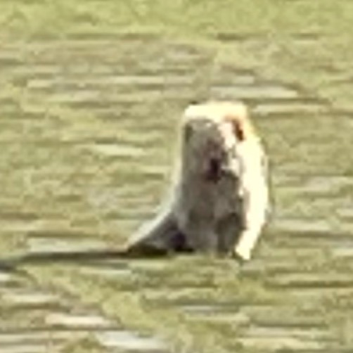 스푼 | DJ sio님의 채널