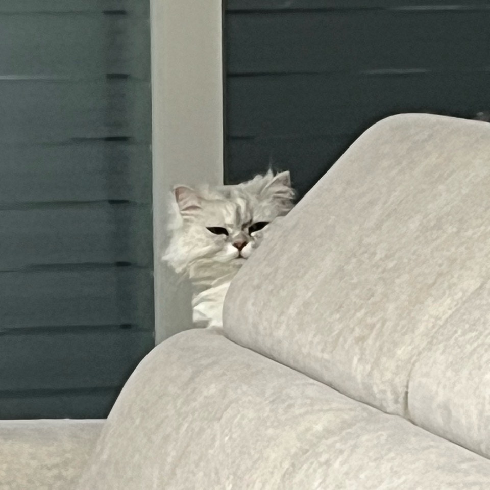 스푼 | DJ 𓇢 𝓂. Nnn님의 채널