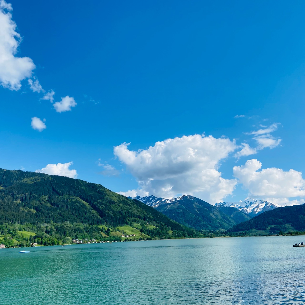 Illlllllll의 프로필 | 스푼 Spoon