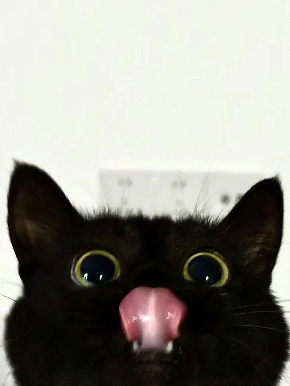 스푼 | DJ ╰ 𝘏𝘢𝘮님의 채널