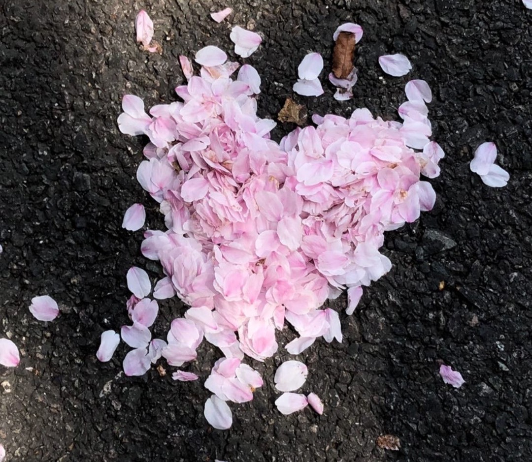 스푼 | DJ p0님의 채널