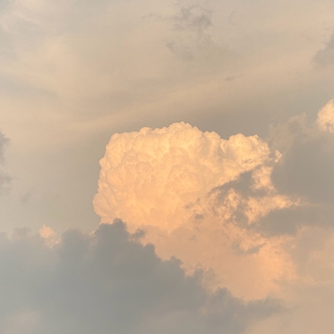 스푼 | DJ abcd님의 채널