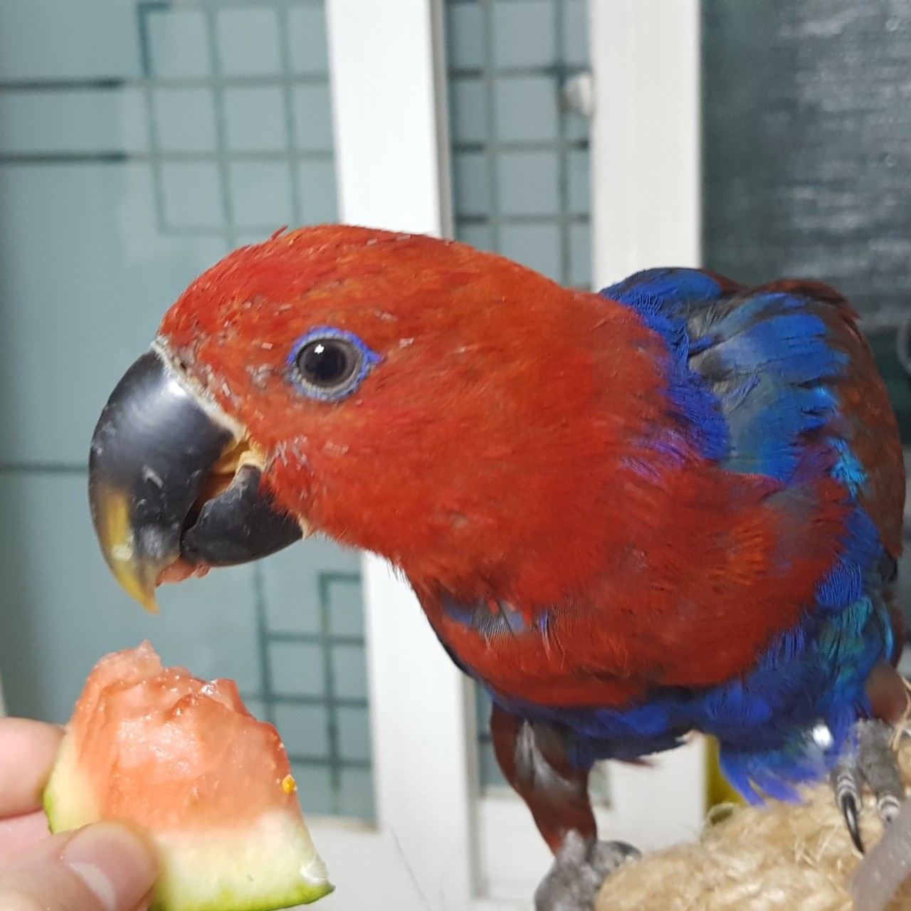 노래방NPC_Tera(@q1ml56)의 프로필 | 스푼 Spoon