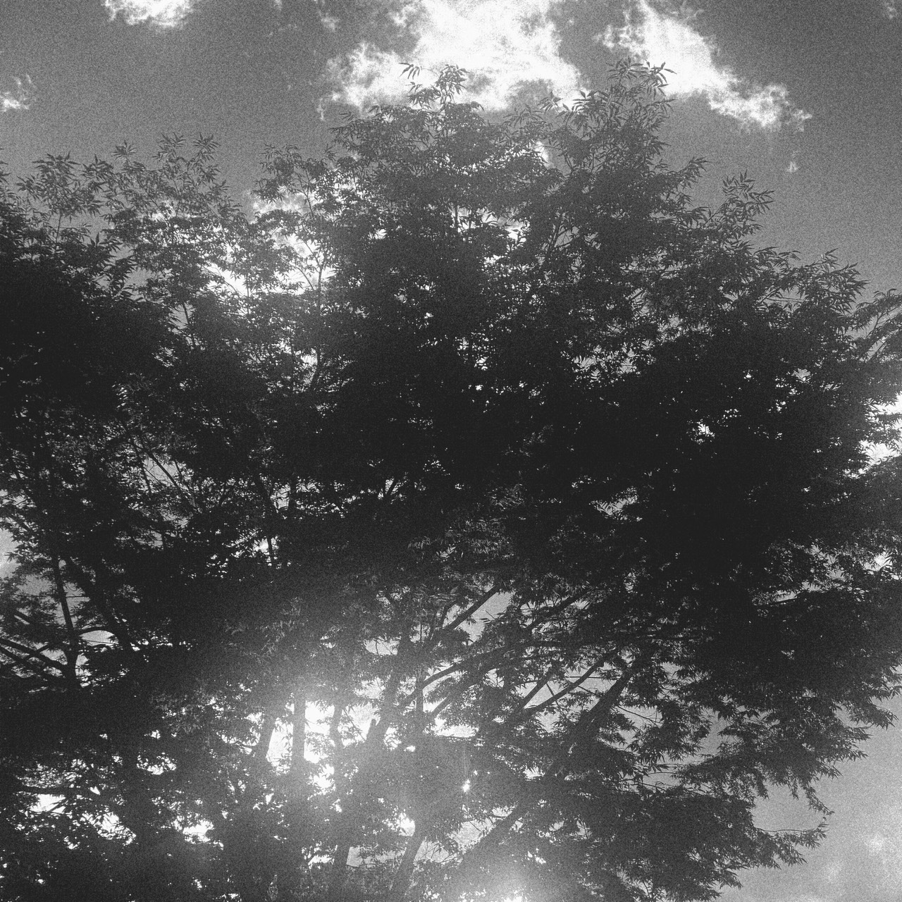 스푼 | DJ infrared님의 채널