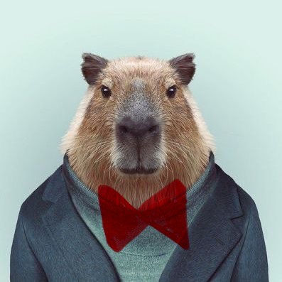 스푼 | DJ giwoo님의 채널