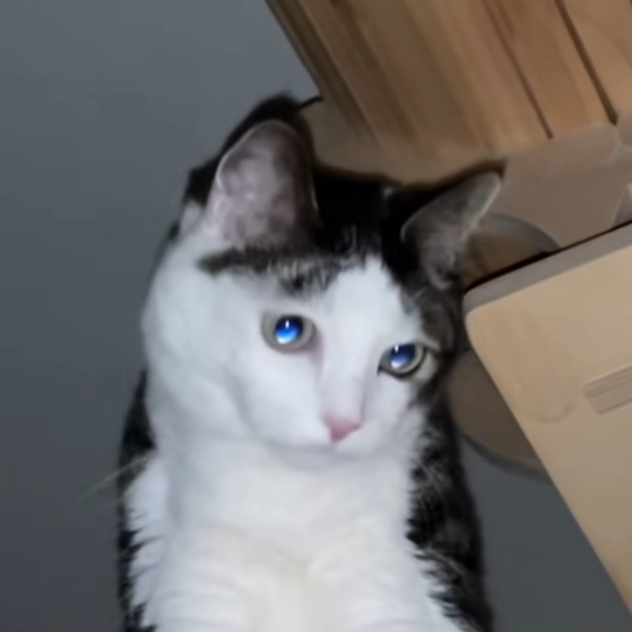 스푼 | DJ kuku님의 채널