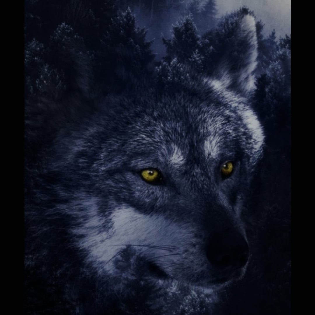 스푼 | DJ Night_Wolf님의 채널