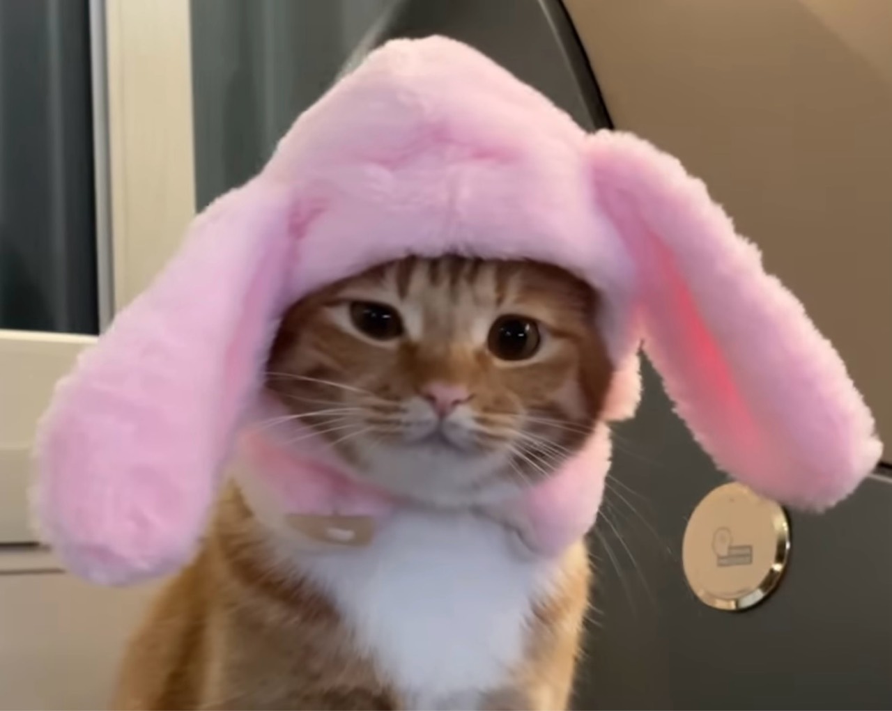 스푼 | DJ didhd님의 채널